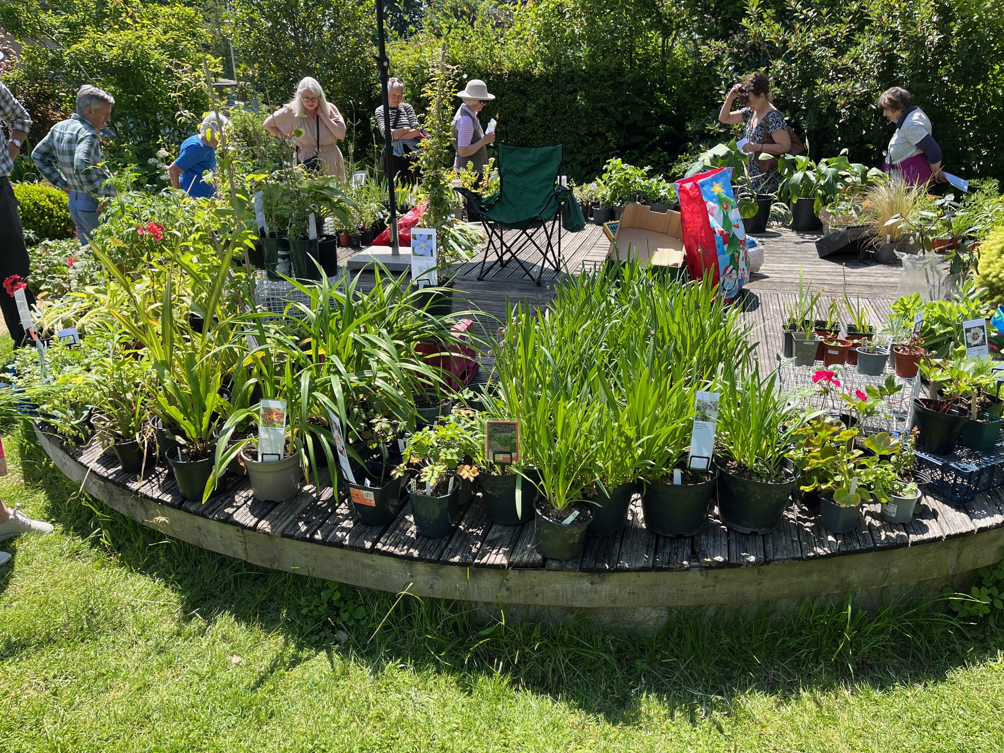 The Lansdown Open Gardens June 2nd, 2024 – St. Stephen's Millennium Green